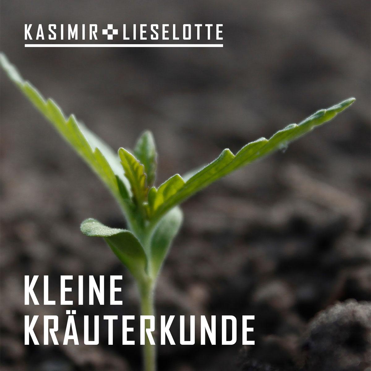 Kursangebot »Kleine Kräuterkunde« Kasimir + Lieselotte